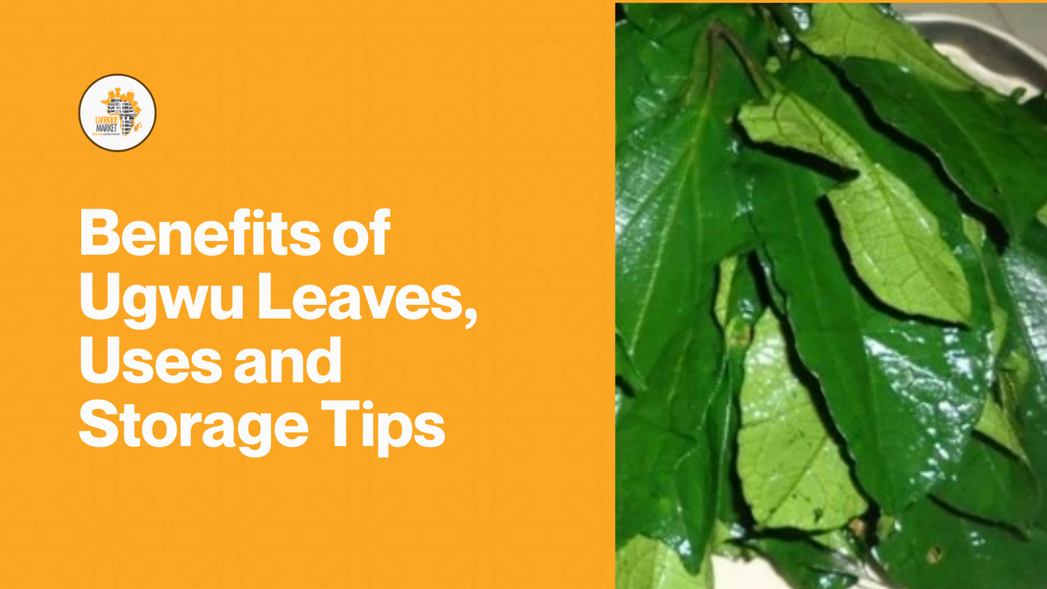 Benefits of Ugwu Leaves, Uses and Storage Tips – Lafrique Market