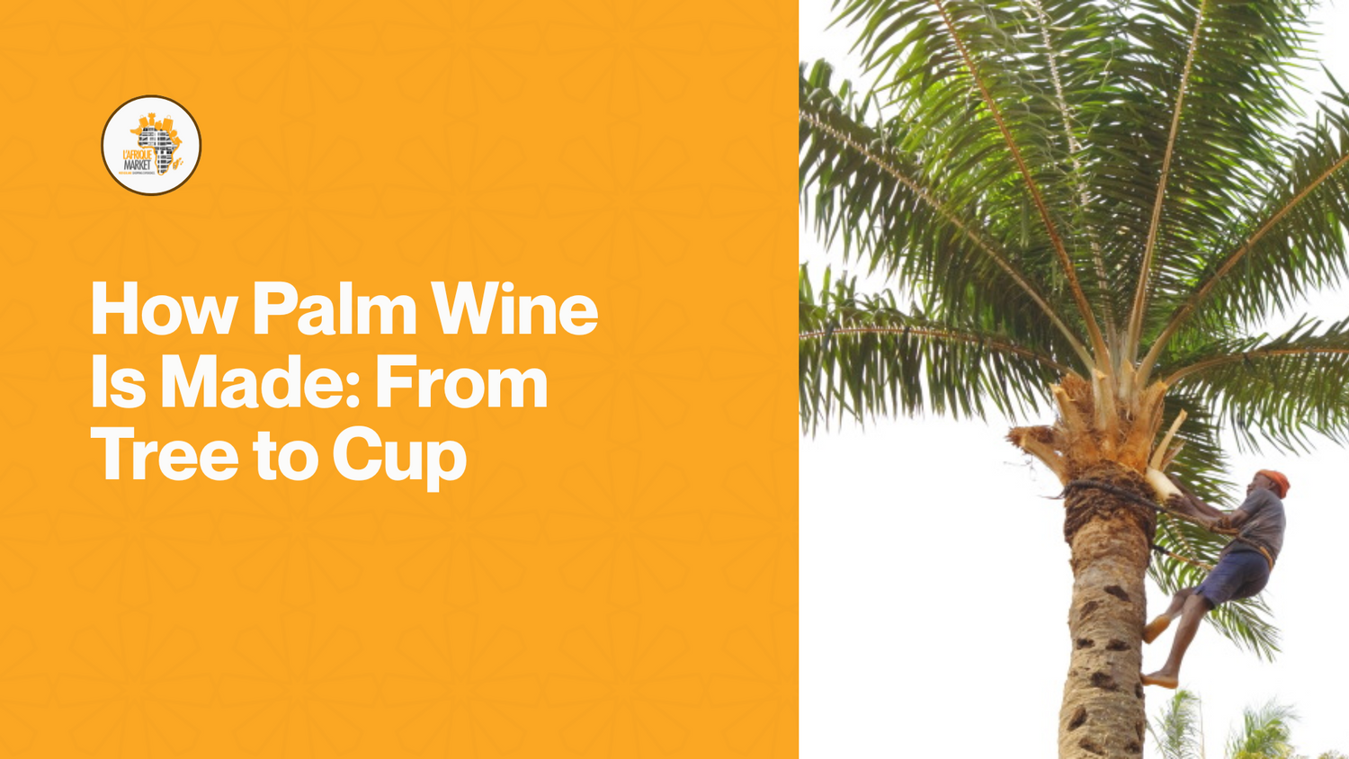 How Palm Wine Is Made: From Tree to Cup – Lafrique Market